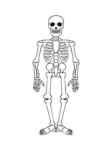 Coloriage squelette 1 Dessin gratuit à imprimer