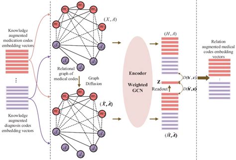contrastive learning on medical prior relation graph download scientific diagram