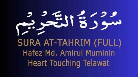 Surah At Tahrim Telawat By Hafez Md Amirul Muminin Islamic Channel