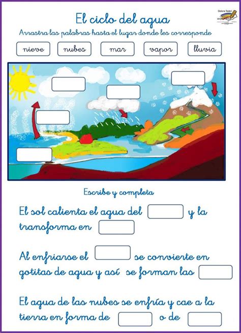 Ficha Interactiva Gratuita De El Ciclo Del Agua Science Projects For
