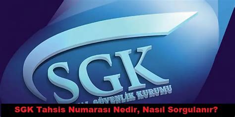 SGK Tahsis Numarası Nedir Nerede Yazar E Devlet Sorgulama SGK Bilgisi