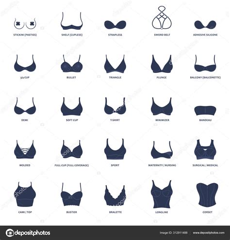 Types Of Bras The Complete Vector Collection Of Lingerie Stock Vector