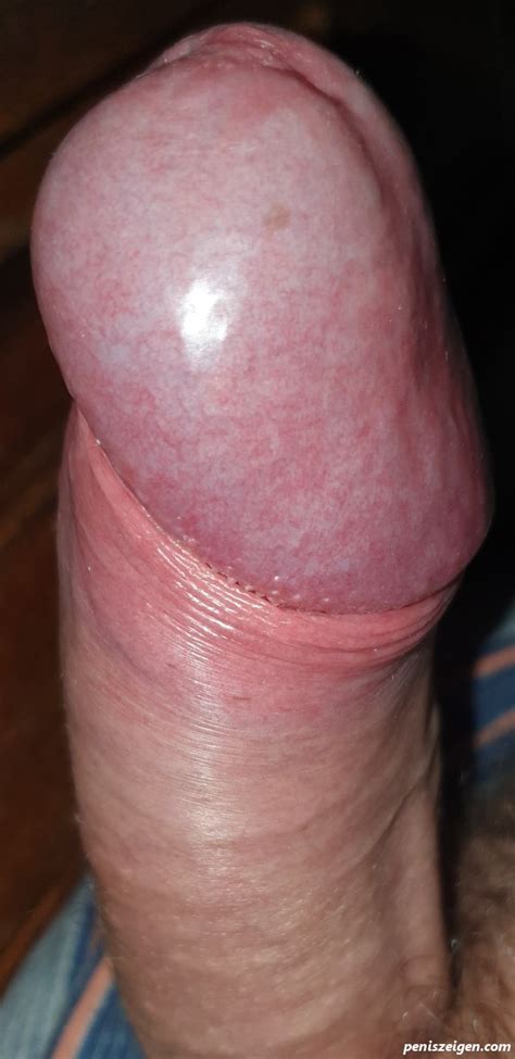 Wie gefällt er dir Kostenlose Penis Bilder und Schwanzfotos