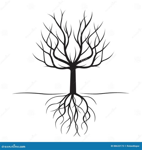 Black Tree With Roots Stock Vector Illustration Of Plant 88633173