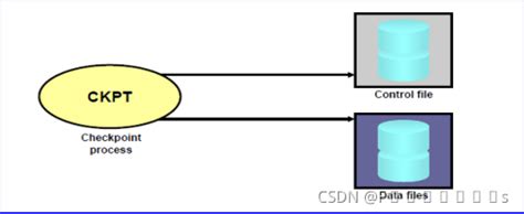 oracle oracle 11g体系结构（实例与数据库） 纯净的oracle11g有哪些库 csdn博客