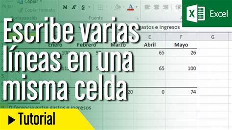 Cómo Escribir Mucho Texto En Una Celda De Excel Guía Completa El
