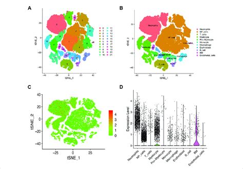 Single Cell Sequencing Data Analysis And Identification Of Different