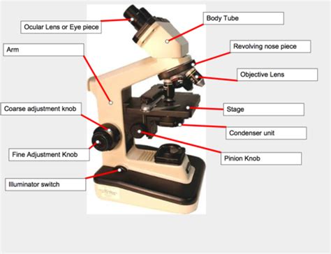 Microbiology Lab Practical 1 Flashcards Quizlet