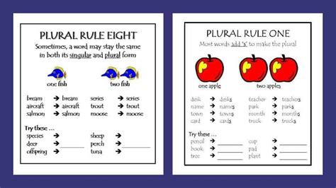Plural Rules