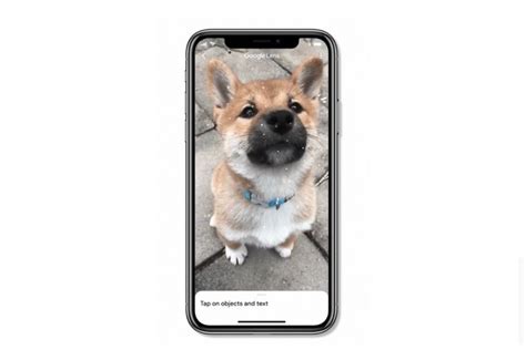 Google Lens qué es cómo instalarlo y todo lo que puedes hacer con ella