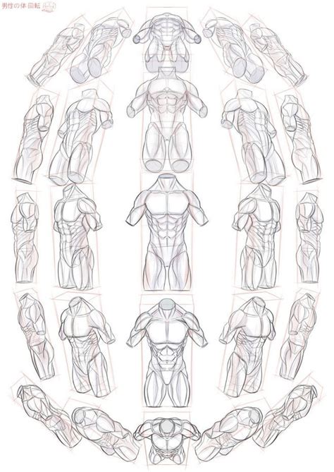 Male Body In Perspective