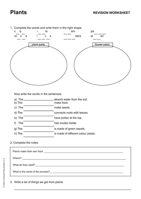 LA CLASE DE MABEL FICHAS DE REPASO DE NATURAL SCIENCE TEMA 3 PLANTS