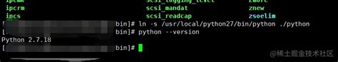 Linux Python