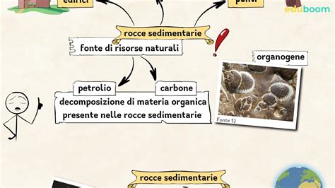 Rocce Sedimentarie Scienze Naturali Terza Superiore