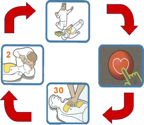 Paro Cardíaco Concise Medical Knowledge