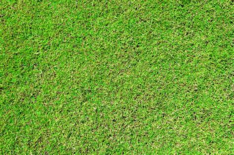 Premium Photo Green Grass Ground Texture Background In Fresh Spring