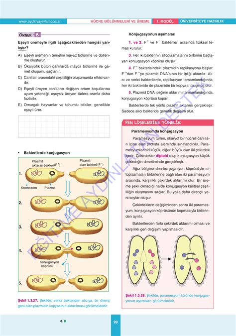 Tyt Ayt Biyoloji Modul Elif Enkaya Sayfa Evrimi I Pdf