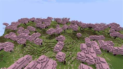 How To Get Cherry Blossom Seed In Minecraft 1 20
