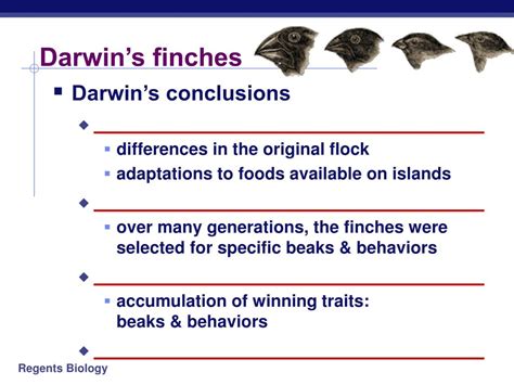 PPT Darwin Evolution By Natural Selection PowerPoint Presentation