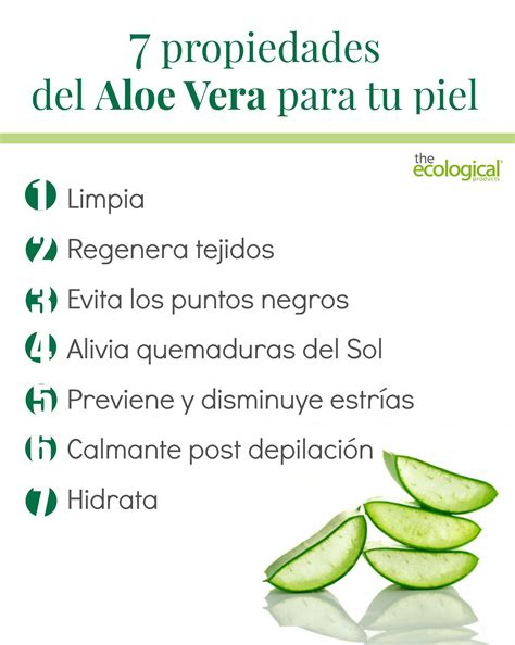 7 Propiedades Del Aloe Vera Para Tu Piel El Aloe Vera Aporta Muchos