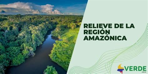 Relieve de la región Amazónica Colombia Verde