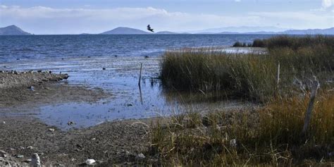 Aguas del lago Titicaca descienden a niveles históricos por cambio
