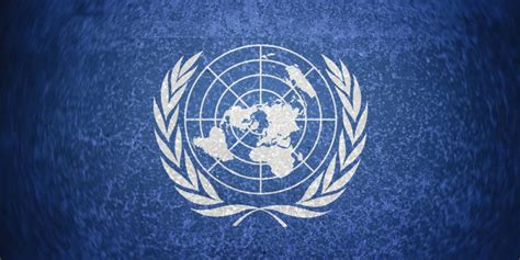 Onu Concepto Objetivos Y Pa Ses Miembros