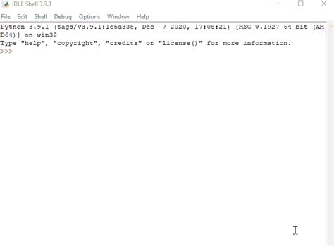 python step through code delft stack