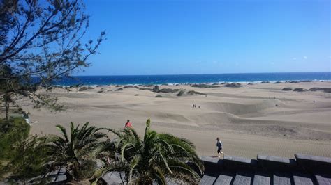 Dünen Maspalomas Aktueller Reiseführer Kanaren Gran Canaria Reisen