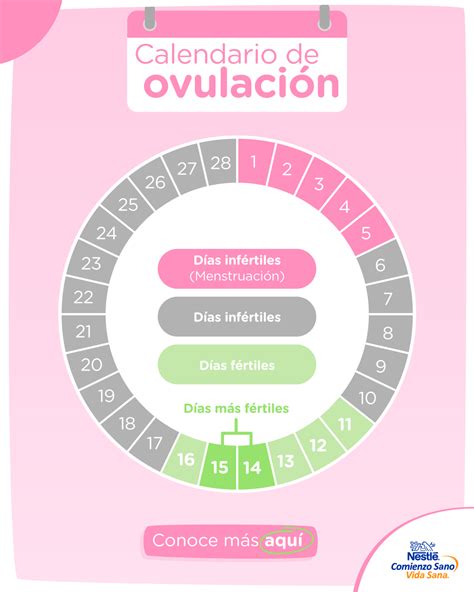 Test De Ovulacion Embarazo Sale Clearance Save 65 Jlcatj Gob Mx