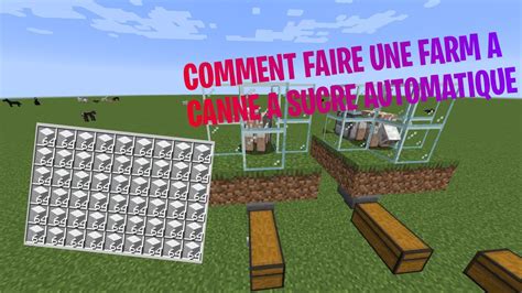 Minecraft COMMENT FAIRE UNE FARM A LAINE AUTOMATIQUE YouTube