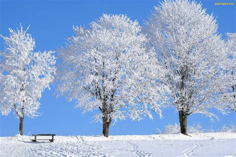 Tapety zdjęcia Ośnieżone Zima Ślady Ławka Pole Śnieg Drzewa