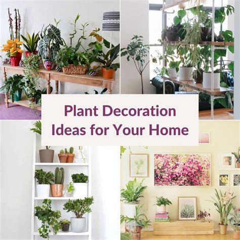10 Creative Ideas For Decorating Your Home With House Plants
