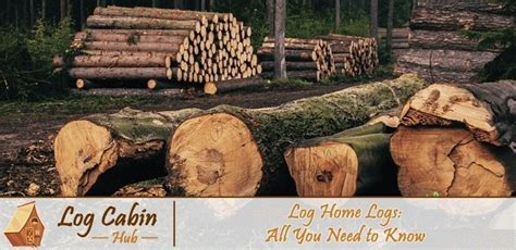 How To Build A Log Cabin From Scratch And By Hand Log Cabin Hub