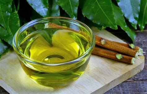 Azufre para Plantas Funciones Toxicidad y Cómo usarlo bien