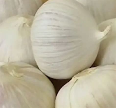 Bukan Sekedar Bumbu Dapur Ini 7 Manfaat Bawang Putih Bagi Kesehatan