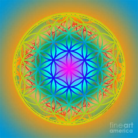 The Sacred Flower Of Life No 9 Of 10 Digital Art By Walter Neal