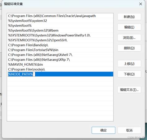 nodejs及vue的安装与配置 nodejs v csdn博客