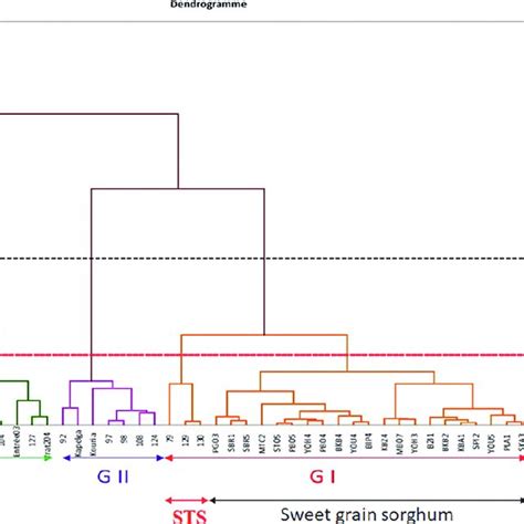 dendrogram of the hierarchical ascending classification of the download scientific diagram