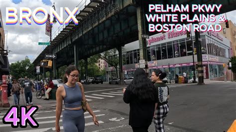 THE BRONX WALKING TOUR OF PELHAM PKWY WHITE PLAINS AND BOSTON ROAD NYC