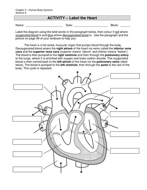 Label Heart Diagram Worksheet Biology Lessons Teaching Biology