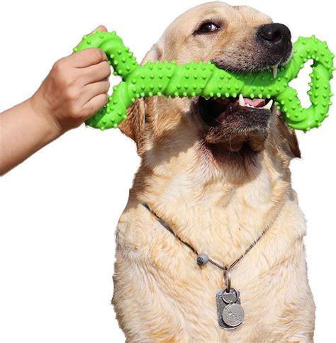 Découvrez une large variété des meilleurs jouets à mâcher pour chien