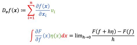 functionals and functional derivatives matthew n bernstein
