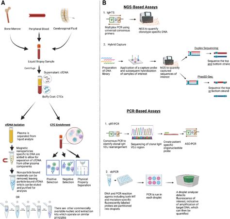 methods for cfdna and ctc isolation as well as several methodologies download scientific