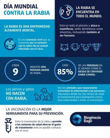 Día Mundial de la lucha contra la rabia cómo prevenir