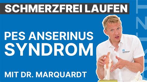 Pes Anserinus Syndrom Schmerzfrei Laufen Mit Dr Marquardt ARTZT YouTube