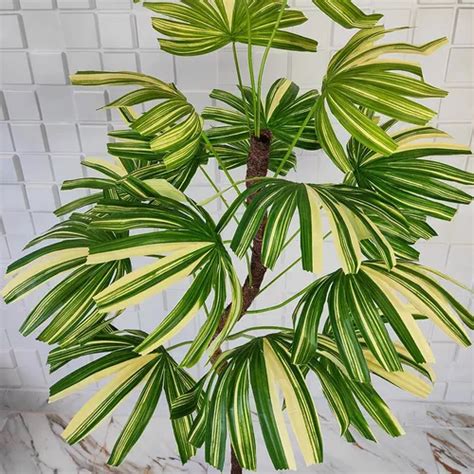 Coqueiro Palmeira Leque Areca Rafia Artificial Vaso Fibra à venda em
