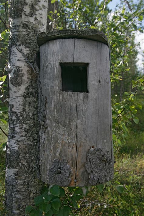 Decorative Painted Outdoor Wooden Bird Houses Photos Home