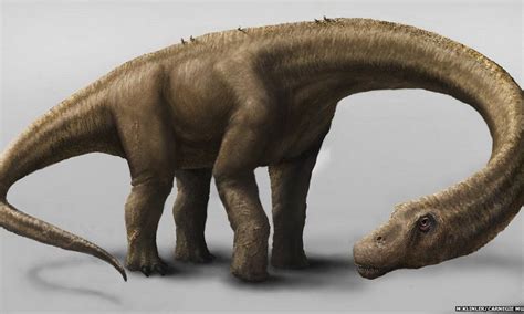Cientistas reúnem 70 dos ossos do maior dinossauro já descoberto no
