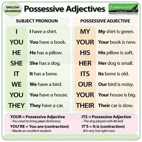10 Oraciones Con Posesivos En Ingles Simple Perfecto